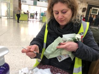 London Pigeon Rescue: Help Stringfoot Pigeons